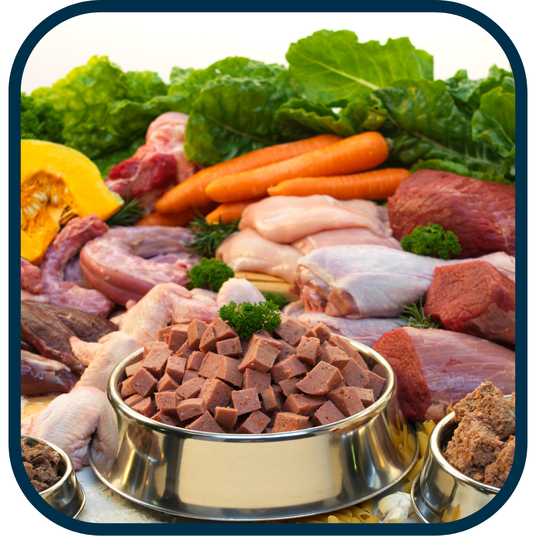 Pet Nutrition Coaching – ZIPPET